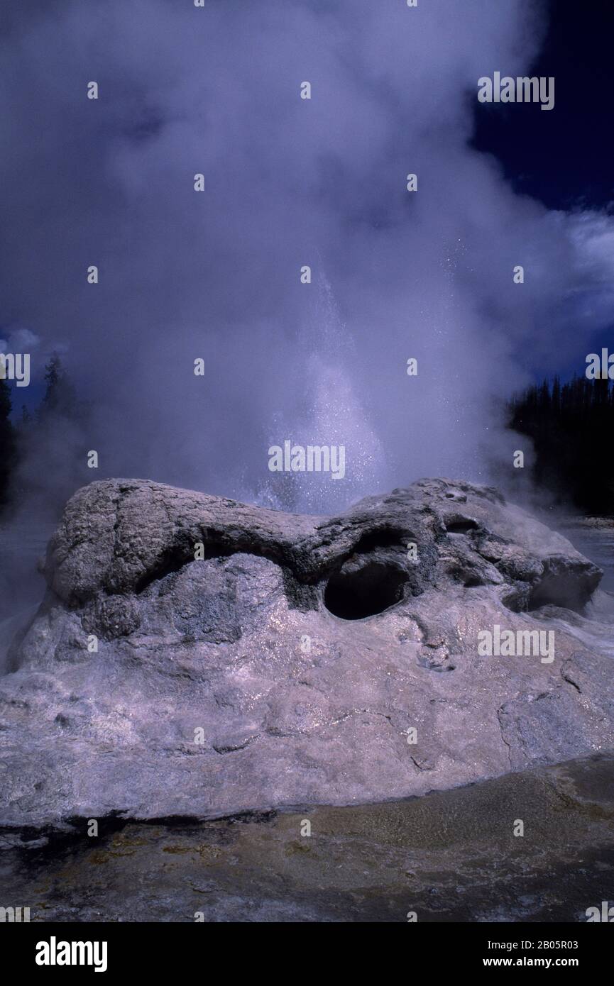 USA, WYOMING, YELLOWSTONE NATIONAL PARK, UPPER GEYSER BASIN, GROTTO ...