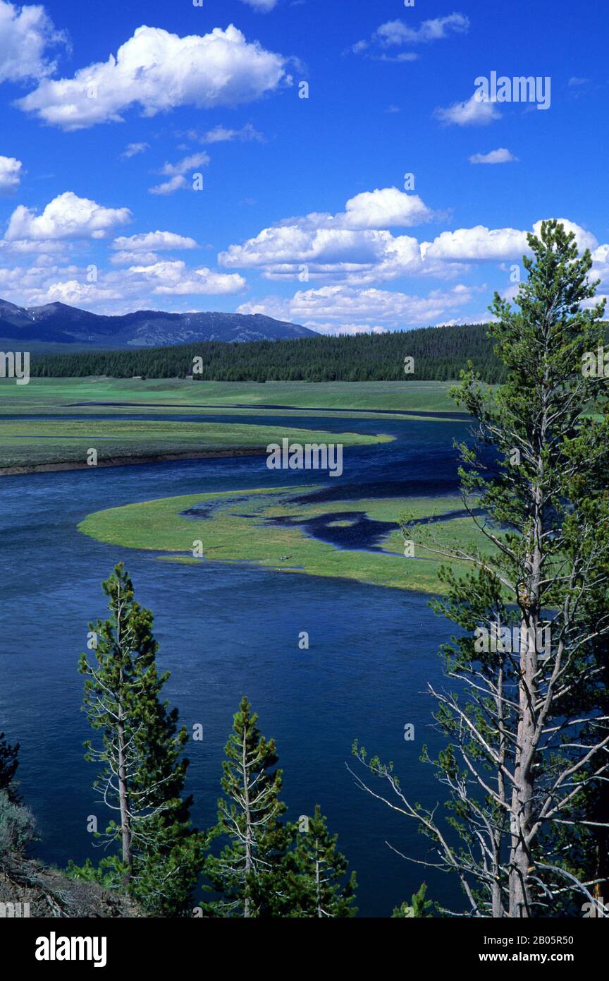 USA, WYOMING, YELLOWSTONE NATIONAL PARK, HAYDEN VALLEY, YELLOWSTONE ...
