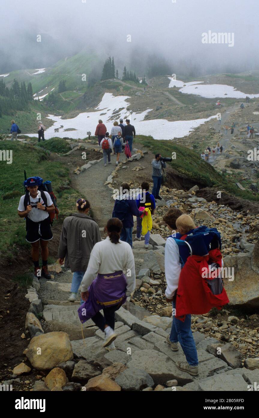 USA, WASHINGTON,MT RAINIER NATIONAL PARK, PARADISE, CROWDED TRAIL Stock ...