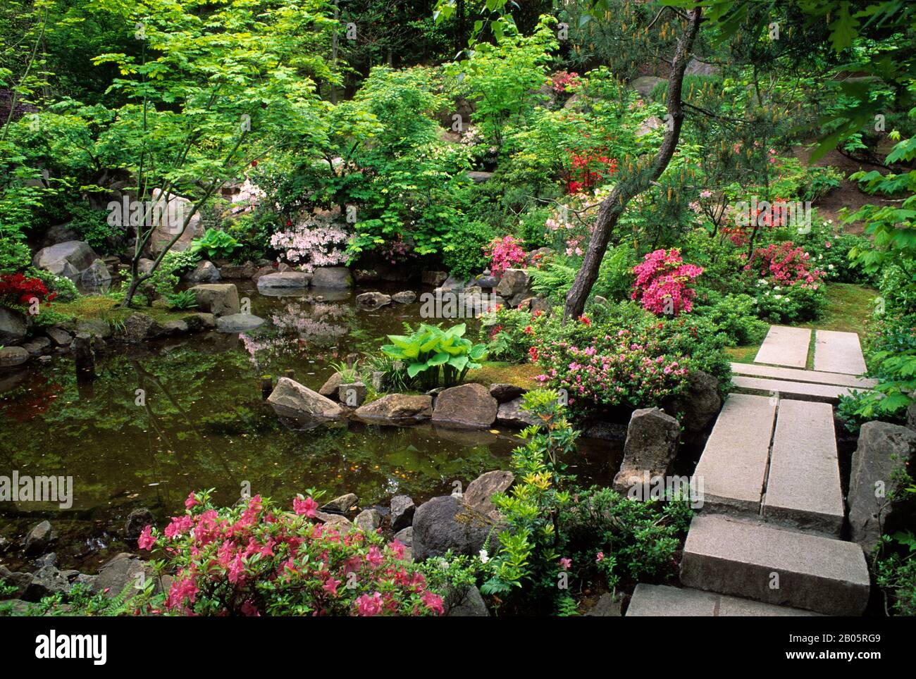 OREGON, PORTLAND, JAPANESE GARDEN, NATURAL GARDEN, STONE BRIDGE ...