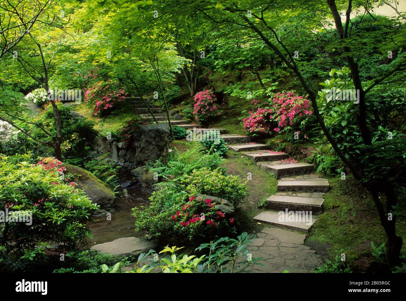 Portland Japanese Garden Walkway A Walk Through Portland's Tranquil