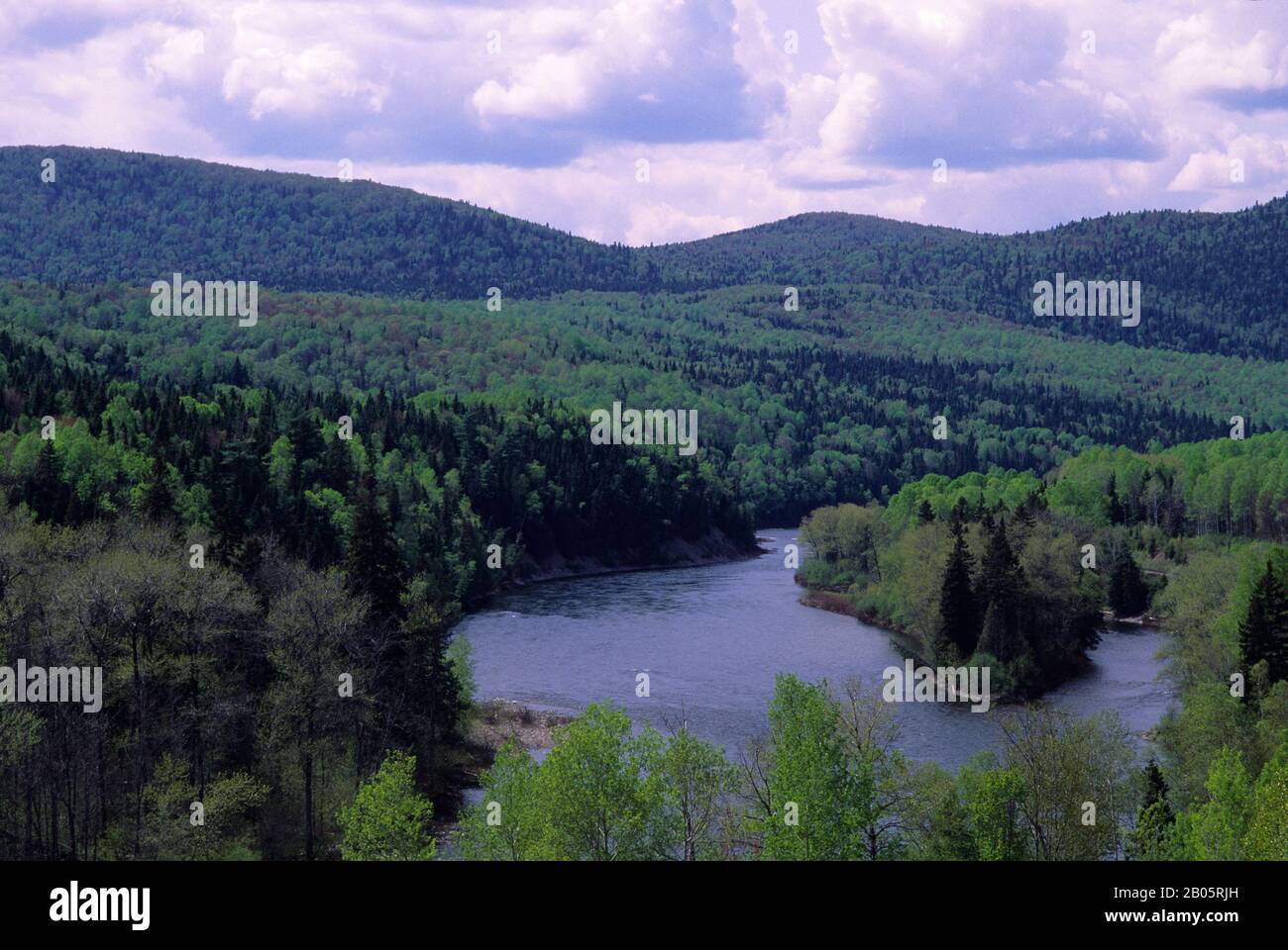 Matapedia forest hi-res stock photography and images - Alamy