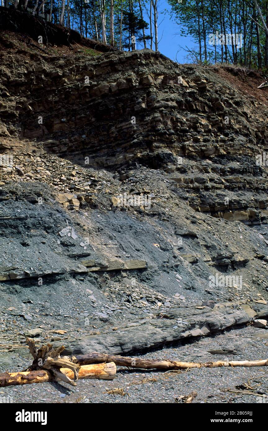 Miguasha park fossils hi-res stock photography and images - Alamy