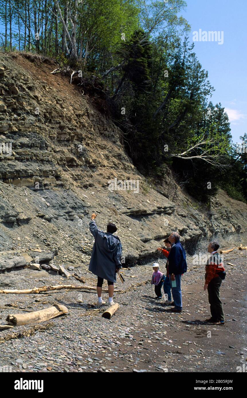 Miguasha park fossils hi-res stock photography and images - Alamy