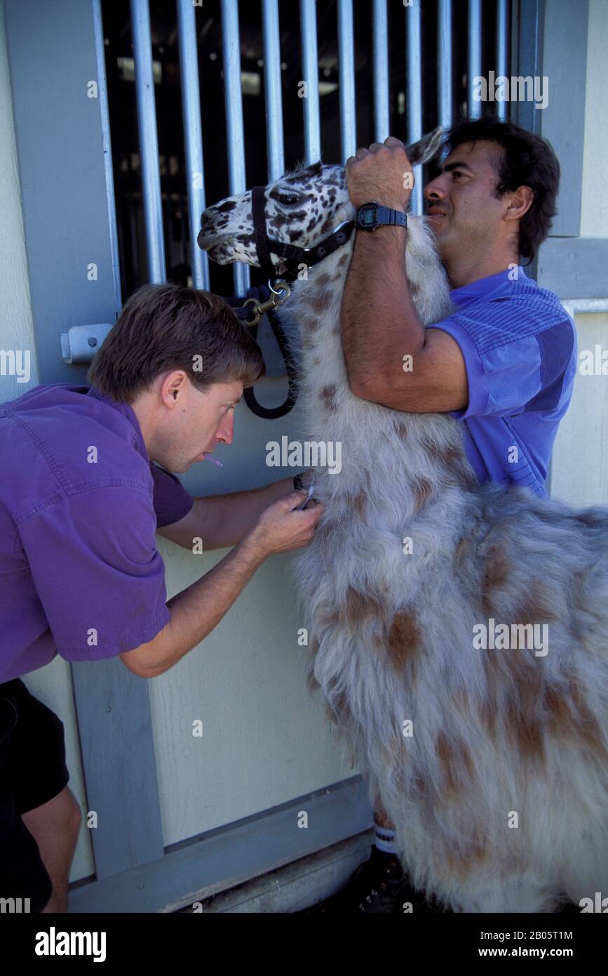 Meadow wood farms hi-res stock photography and images - Alamy