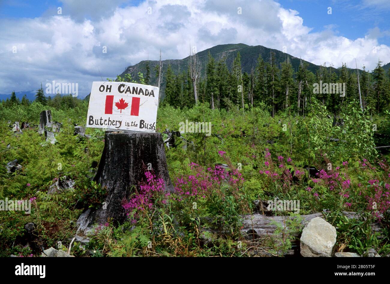 Logging camp canada hi-res stock photography and images - Alamy