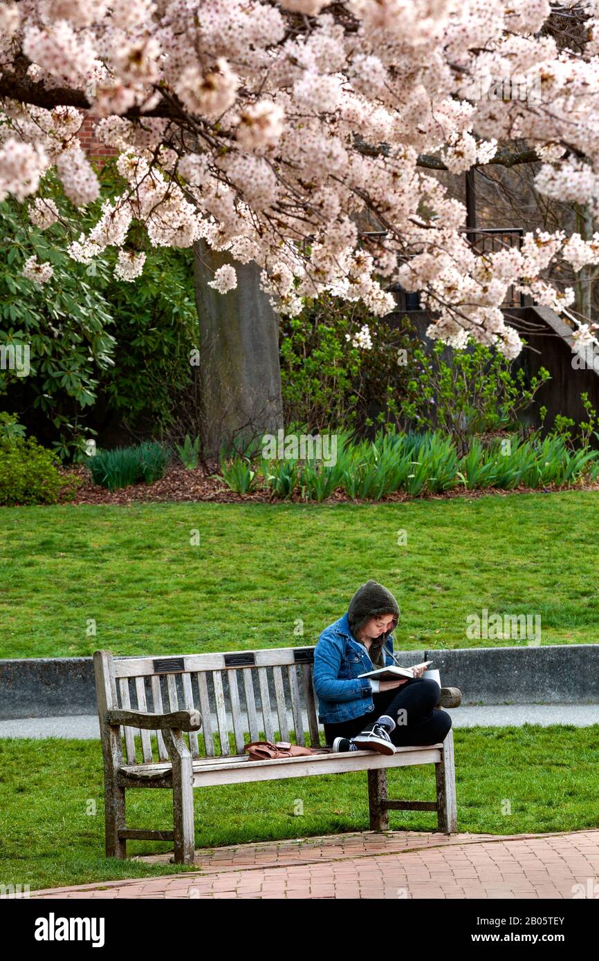 Woman reading under tree hi-res stock photography and images - Alamy