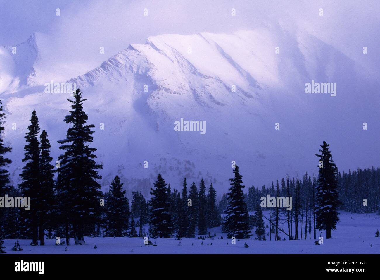 Icefields parkway winter hi-res stock photography and images - Alamy