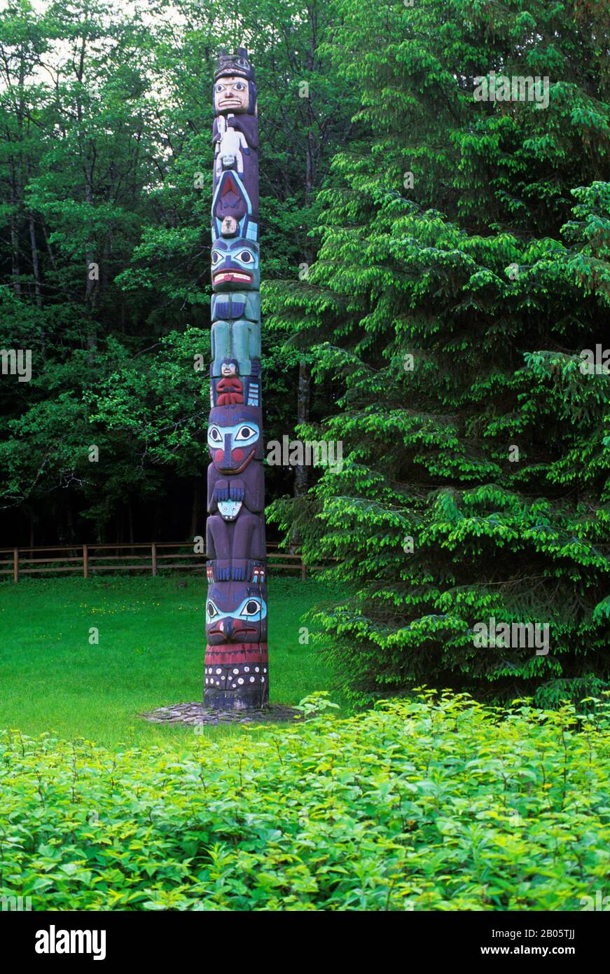 USA,ALASKA,INSIDE PASSAGE, KETCHIKAN, TOTEM BIGHT STATE PARK, TOTEM ...