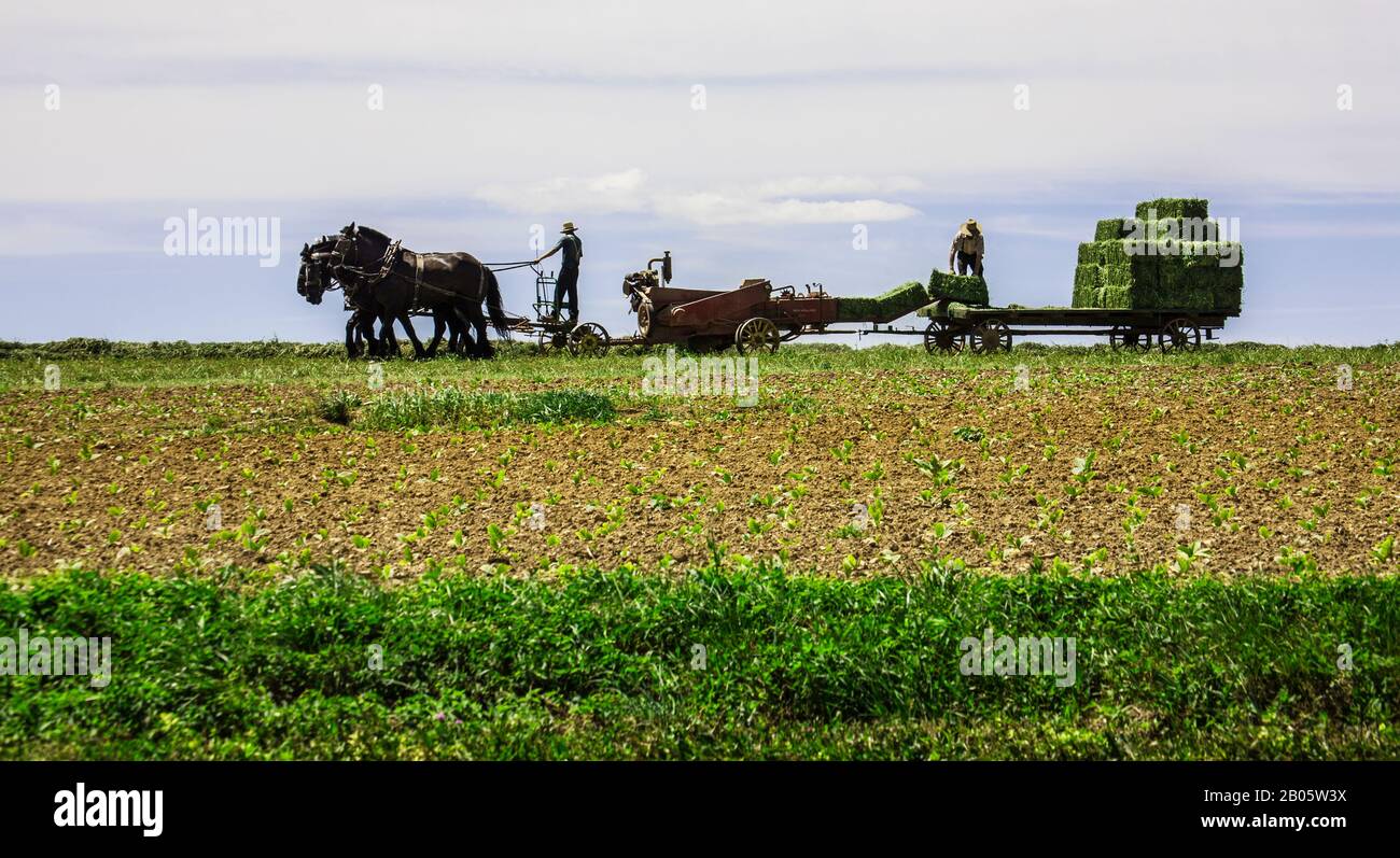 Southern Colonies Farming