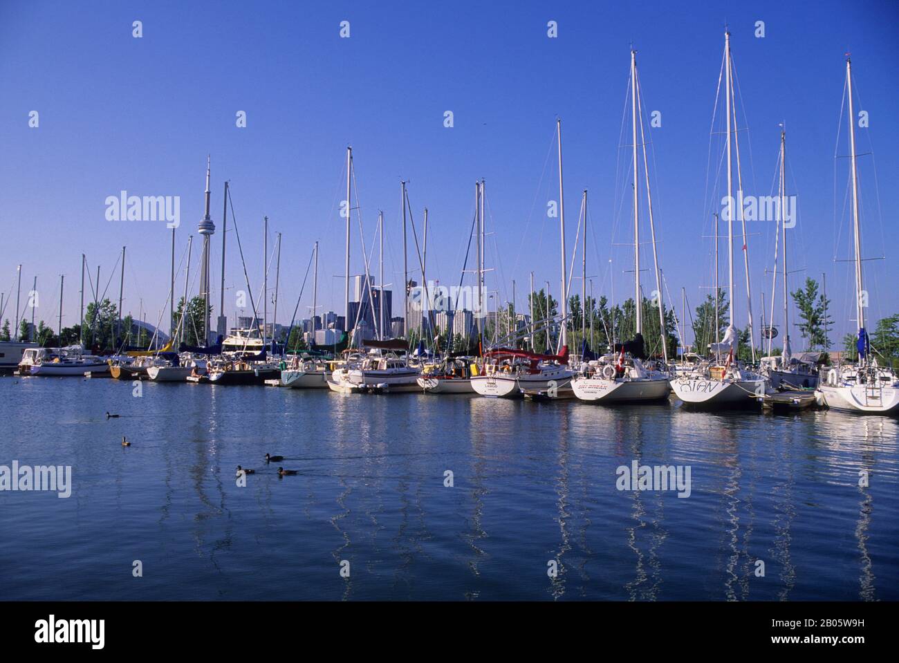 Sailboat toronto cn tower hi-res stock photography and images - Alamy