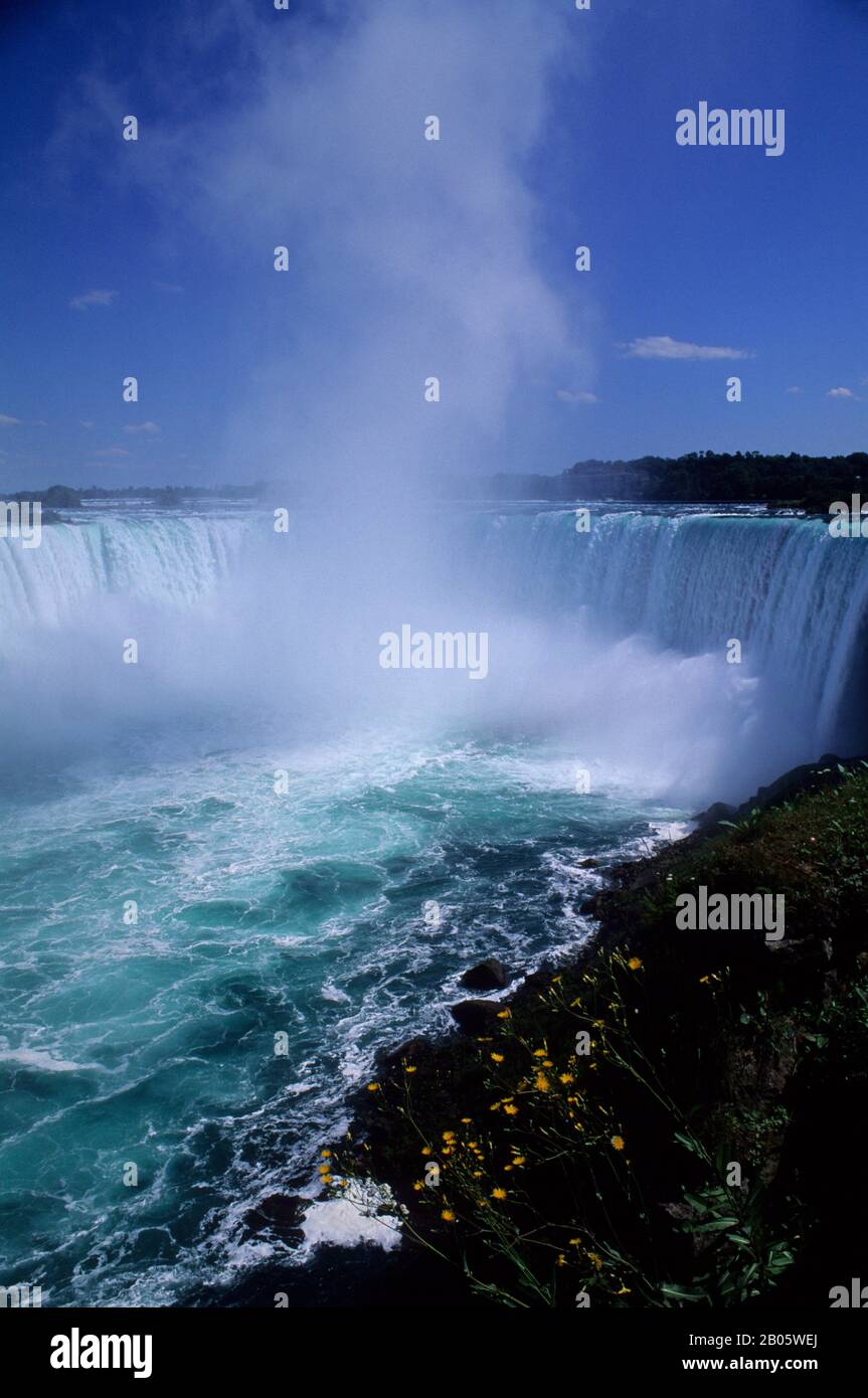 CANADA; ONTARIO; NIAGARA RIVER; NIAGARA FALLS; HORSESHOE FALLS; FLOWERS ...