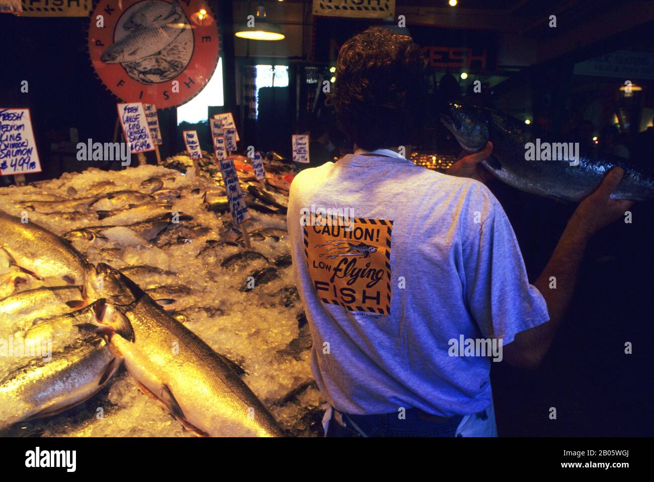 Low flying fish hi-res stock photography and images - Alamy