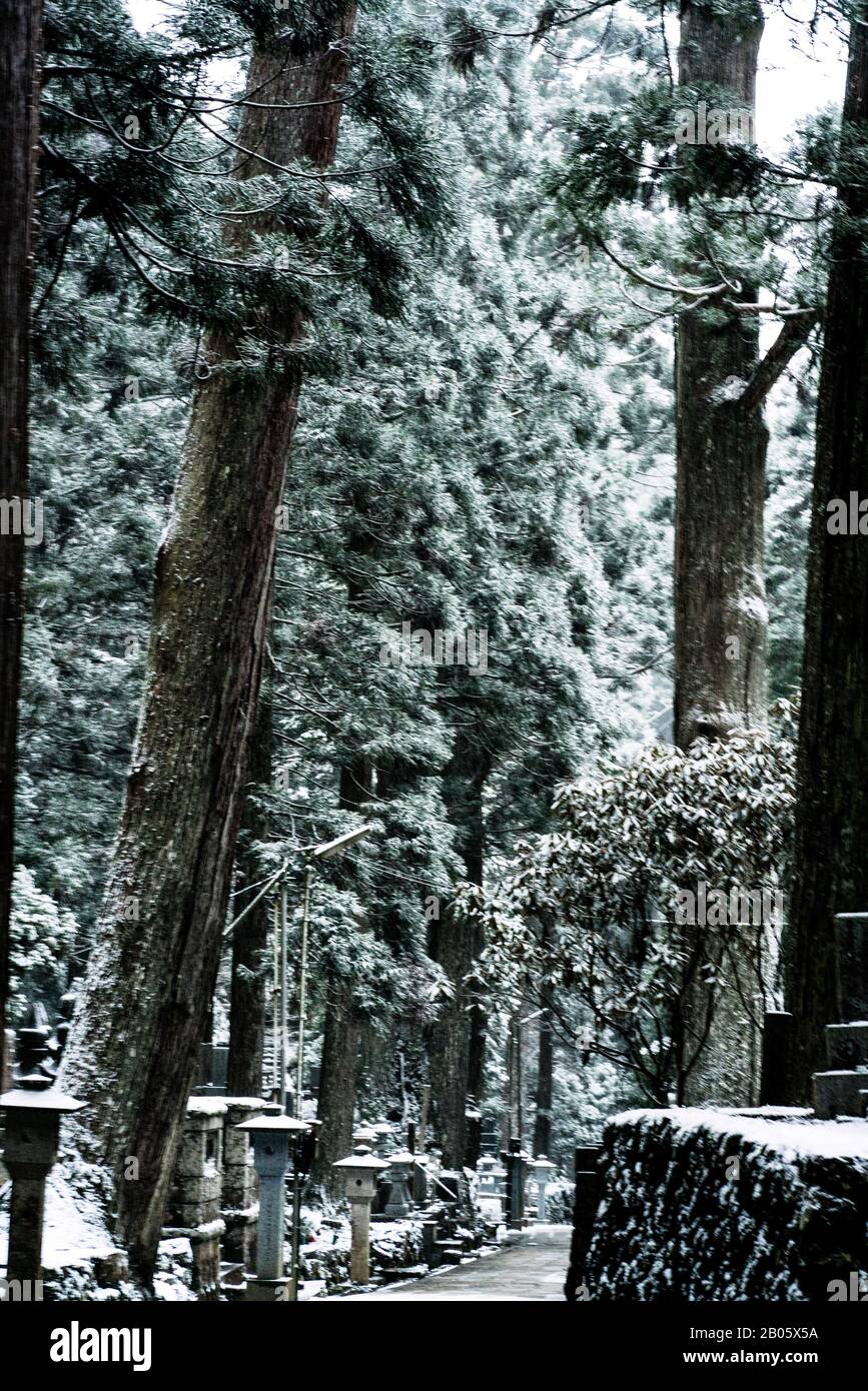 Okunoin, Japan's largest cemetery, located on Mt. Koya, the birthplace ...