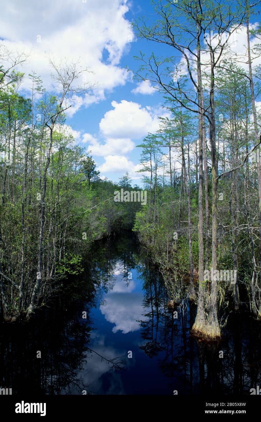Okefenokee ga hi-res stock photography and images - Alamy