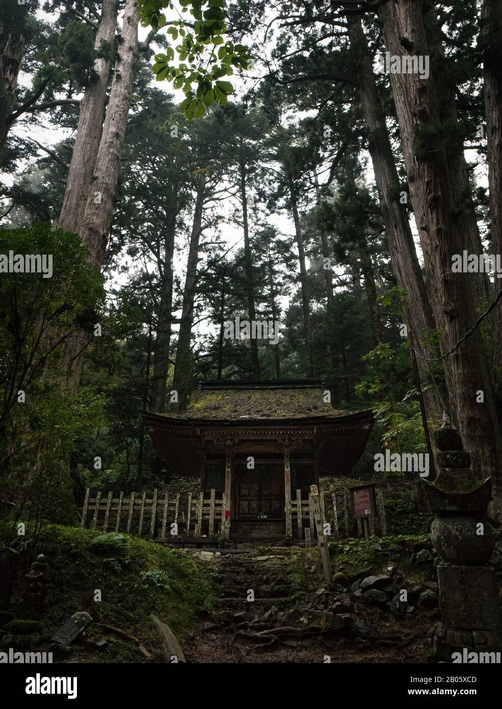 Okunoin, Japan's largest cemetery, located on Mt. Koya, the birthplace ...