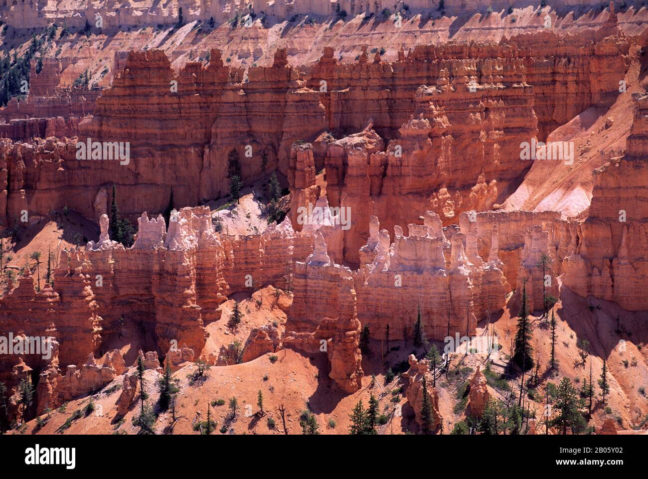 Bryce canyon nat park, utah hi-res stock photography and images - Alamy