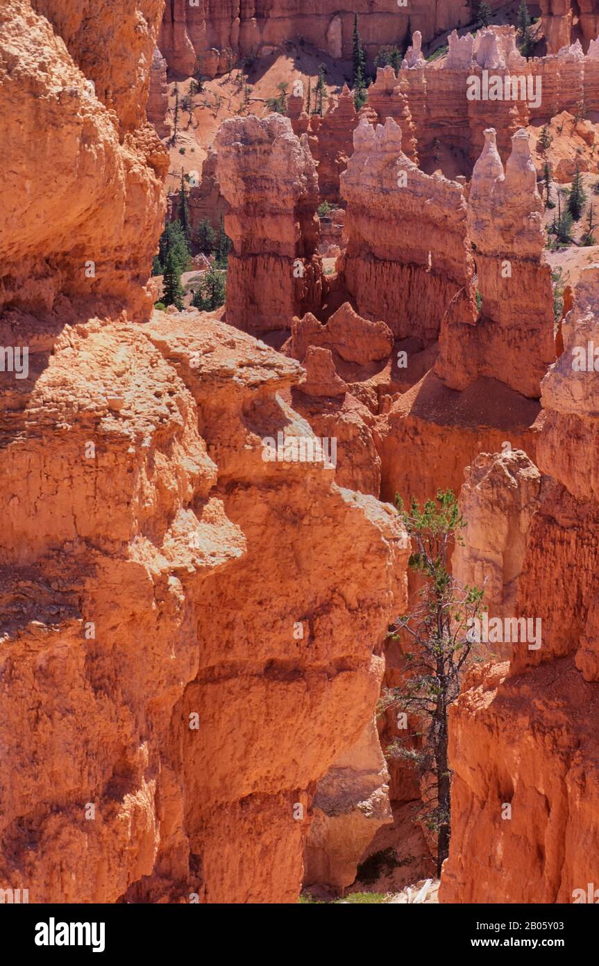 Bryce canyon nat park, utah hi-res stock photography and images - Alamy