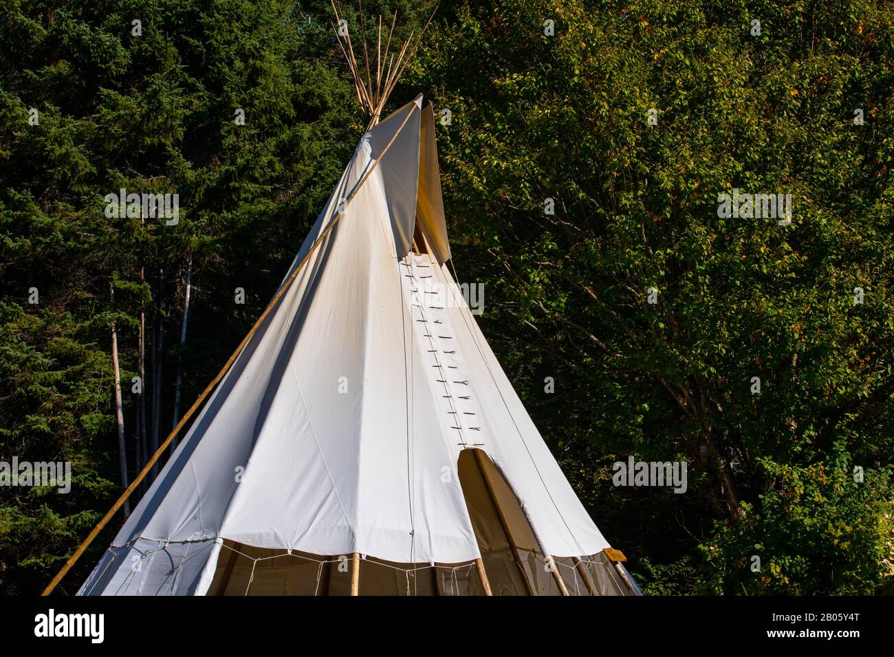 Traditional aboriginal shelter hi-res stock photography and images - Alamy