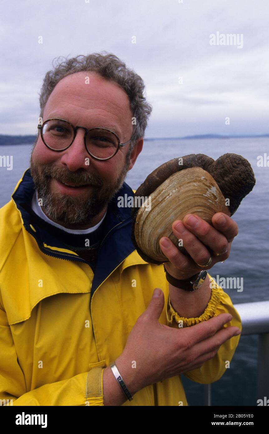 David gordon with geoduck hi-res stock photography and images - Alamy