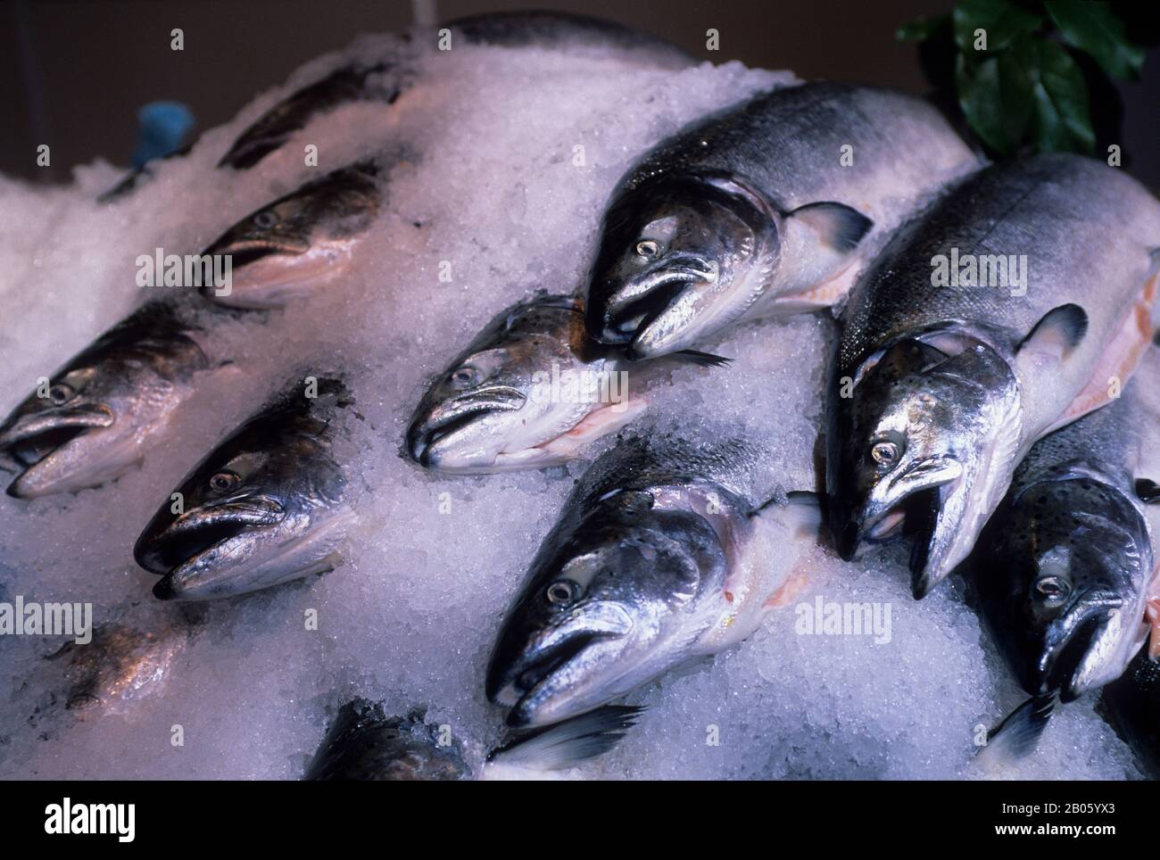 Granville island market fish hi-res stock photography and images - Alamy