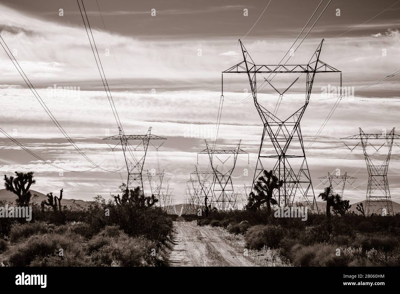 Global environment network hi-res stock photography and images - Alamy