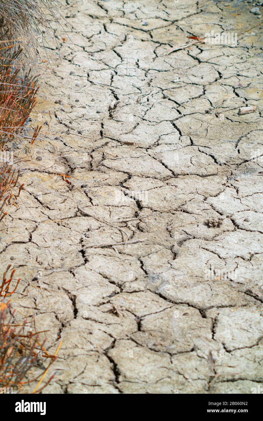 As conditions dry and drought occurs the land in wetlands dries up and ...