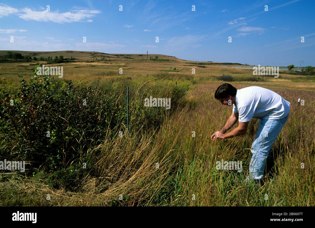 Entomologist research hi-res stock photography and images - Alamy