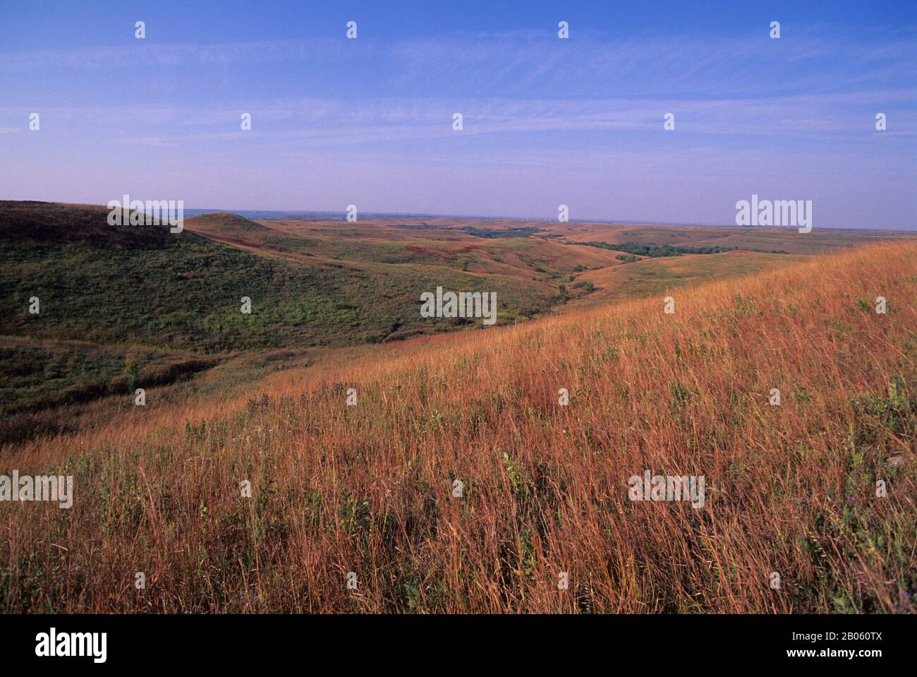 USA, KANSAS, MANHATTAN, KONZA PRAIRIE RESEARCH NATURAL AREA, LANDSCAPE ...