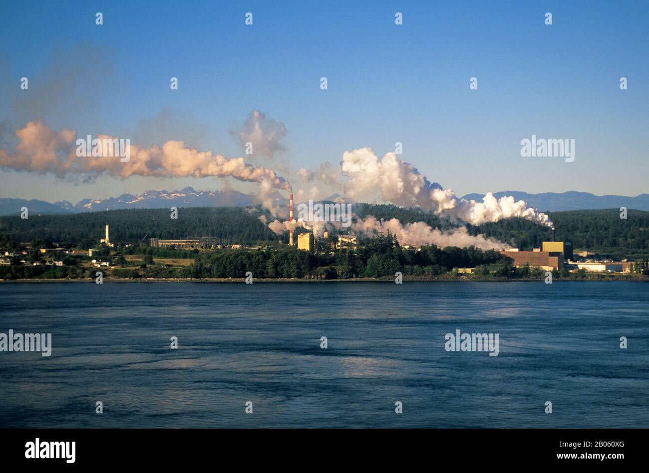 Pulp mill pollution hi-res stock photography and images - Alamy