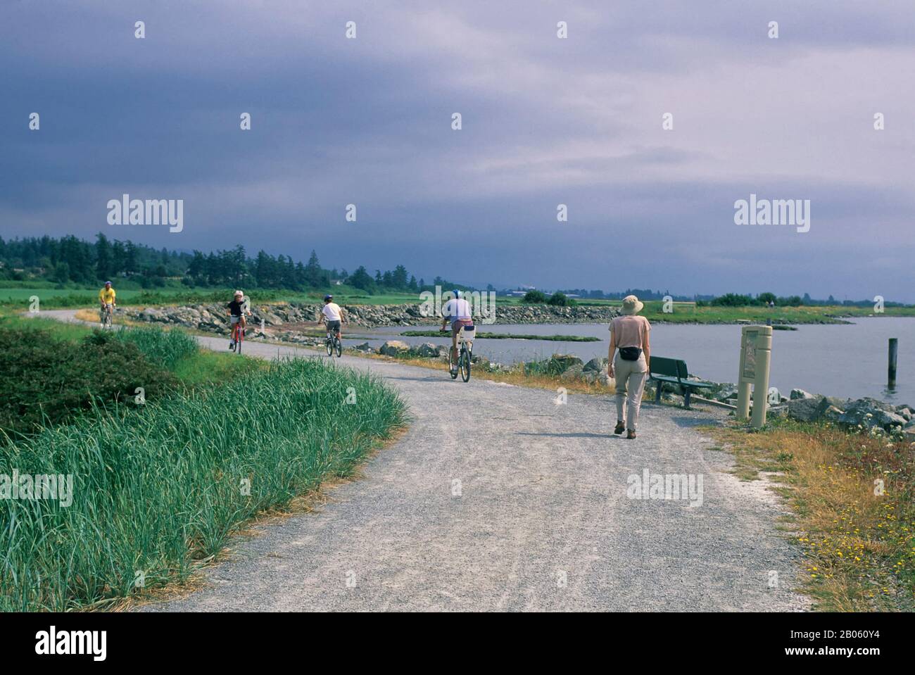 Padilla bay hi-res stock photography and images - Alamy