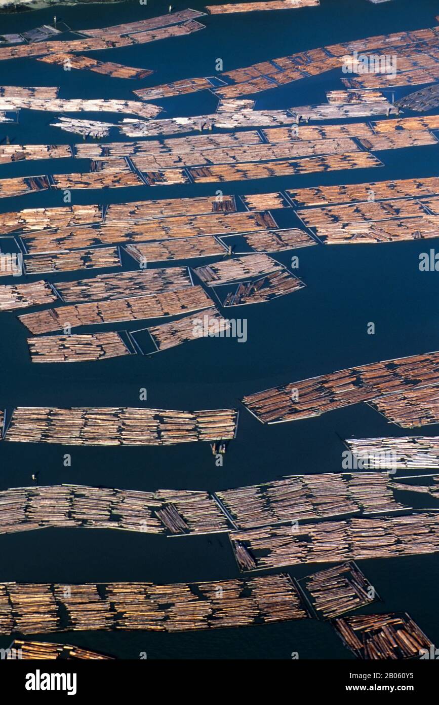 Logging industry canada logs hi-res stock photography and images - Alamy