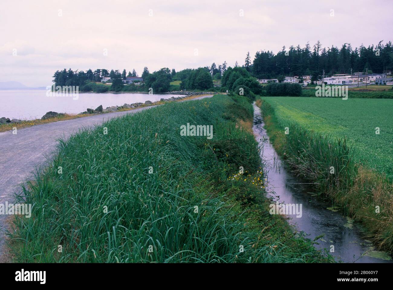 Padilla bay hi-res stock photography and images - Alamy