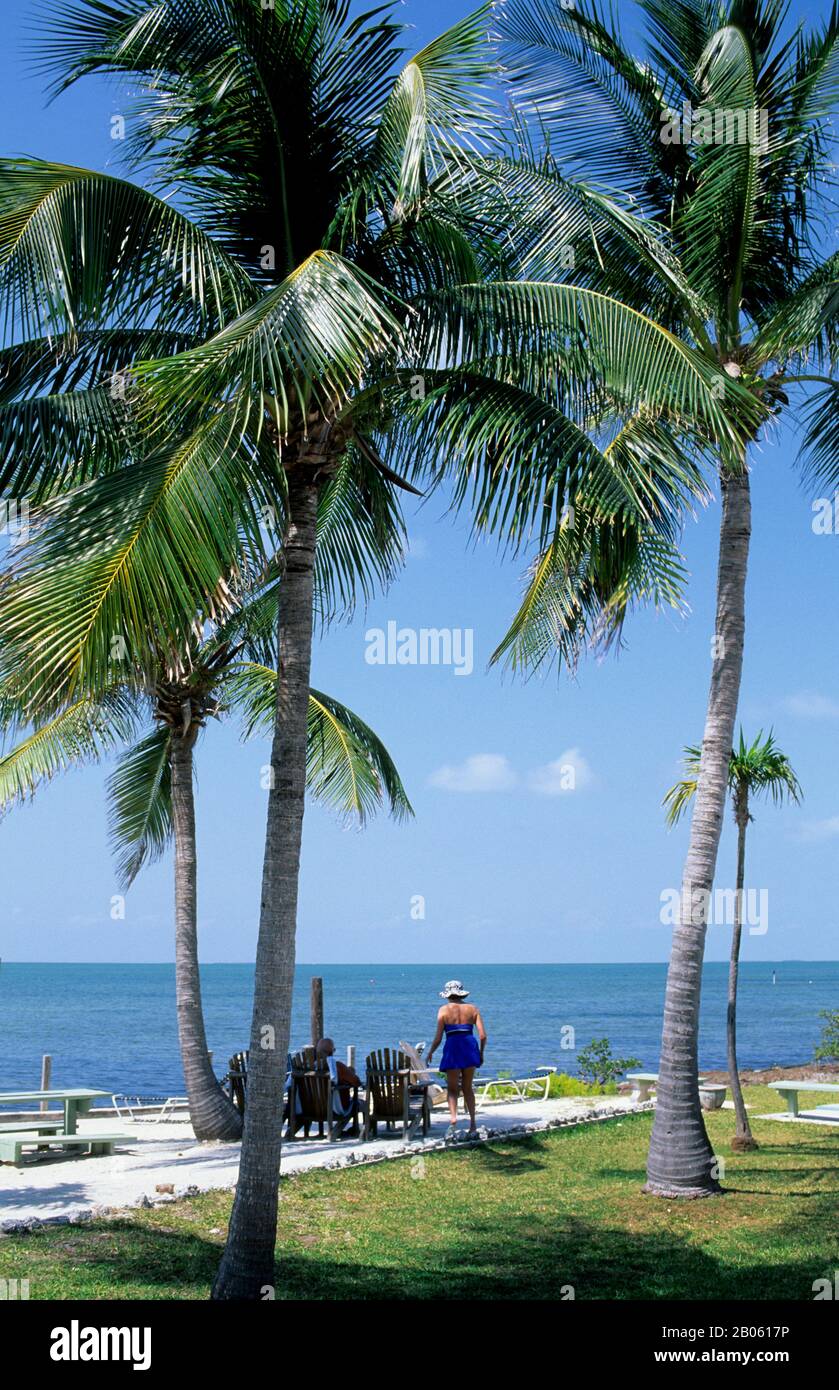 USA, FLORIDA, LONG KEY, BEACH SCENE Stock Photo - Alamy