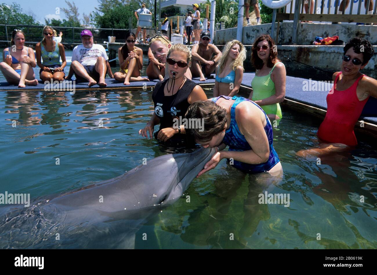 USA, FLORIDA, GRASSY KEY, DOLPHIN RESEARCH CENTER, DOLPHIN SPLASH ...