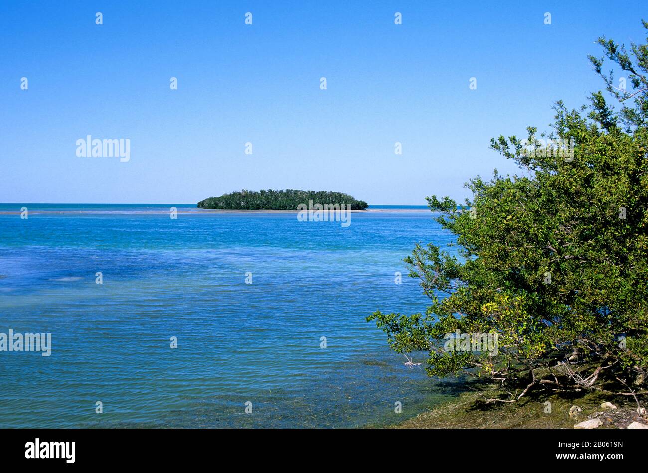 Big pine key hi-res stock photography and images - Alamy