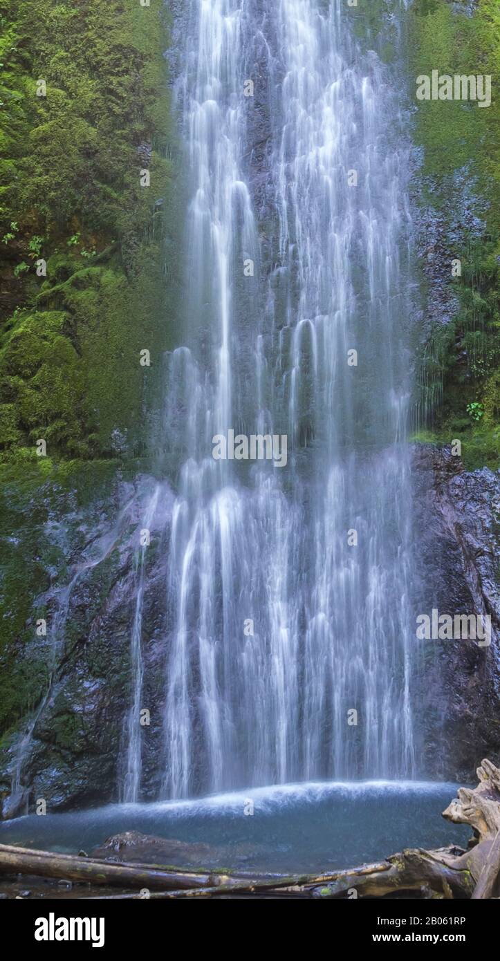 waterfall olympic national park washington Stock Photo - Alamy