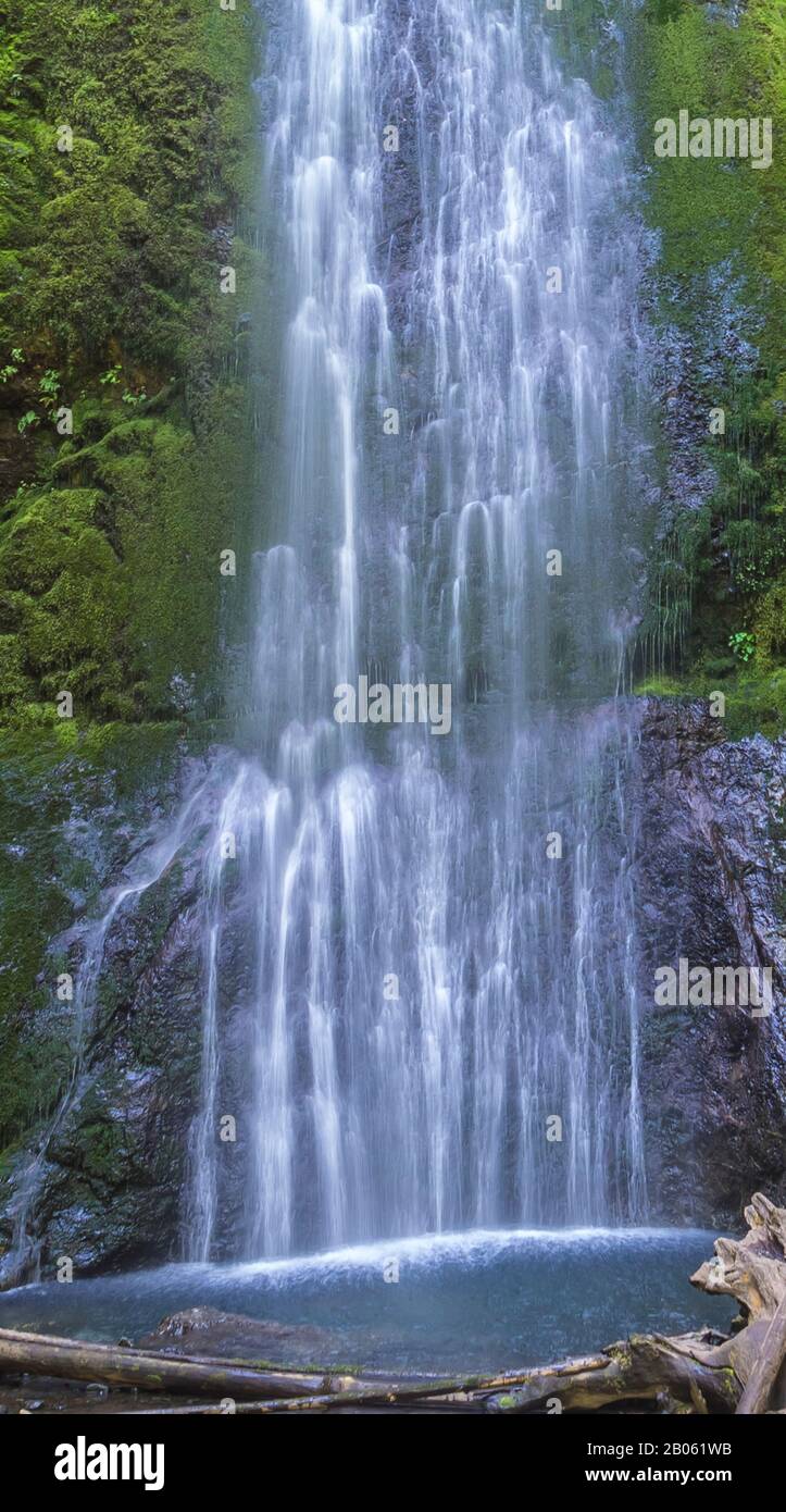 waterfall olympic national park washington Stock Photo - Alamy