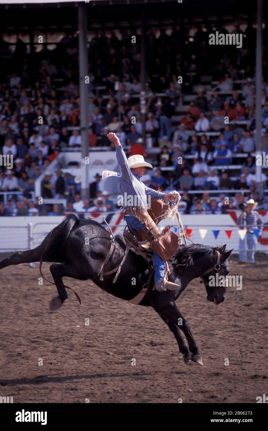 Ellensburg rodeo hi-res stock photography and images - Alamy