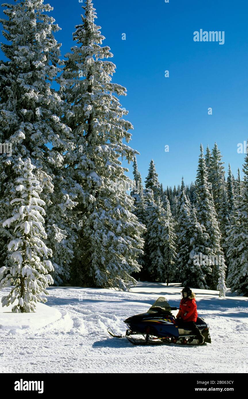 USA, IDAHO, NEAR WEST YELLOWSTONE, GALLATIN-TARGHEE NATIONAL FOREST ...