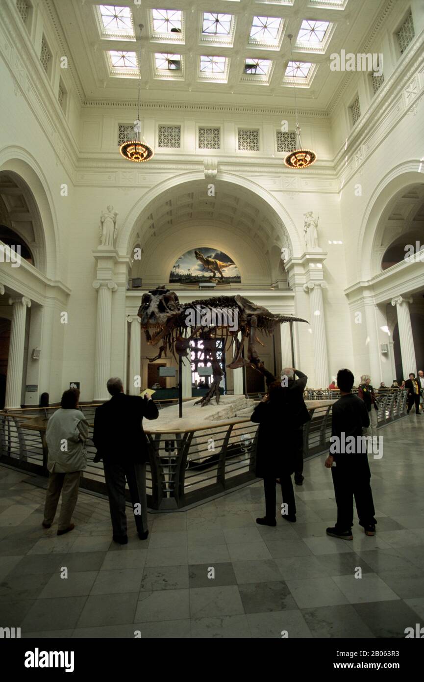 USA, ILLINOIS, CHICAGO, FIELD MUSEUM OF NATURAL HISTORY, T-REX DINOSAUR ...