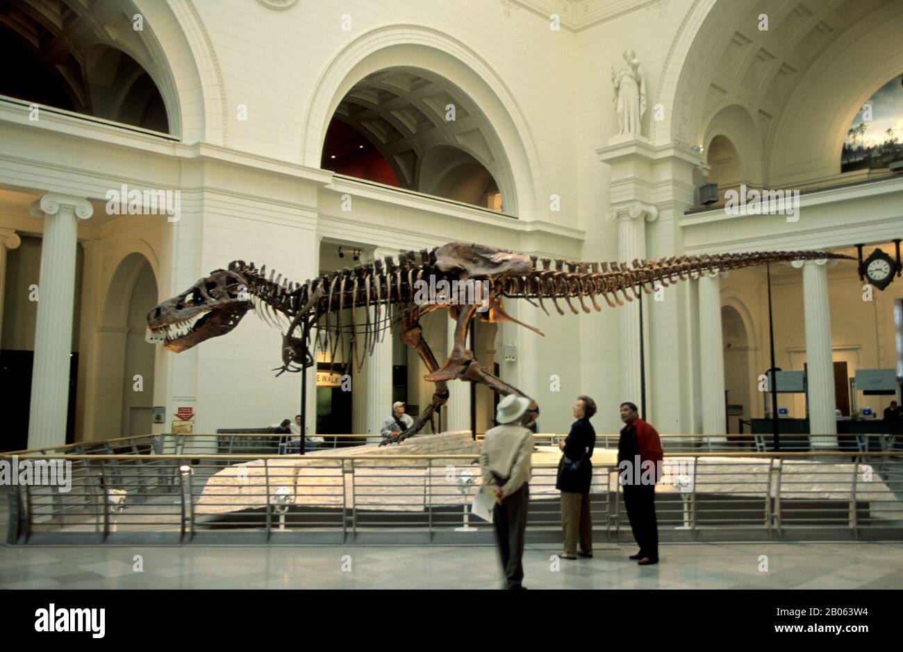 USA, ILLINOIS, CHICAGO, FIELD MUSEUM OF NATURAL HISTORY, T-REX DINOSAUR ...
