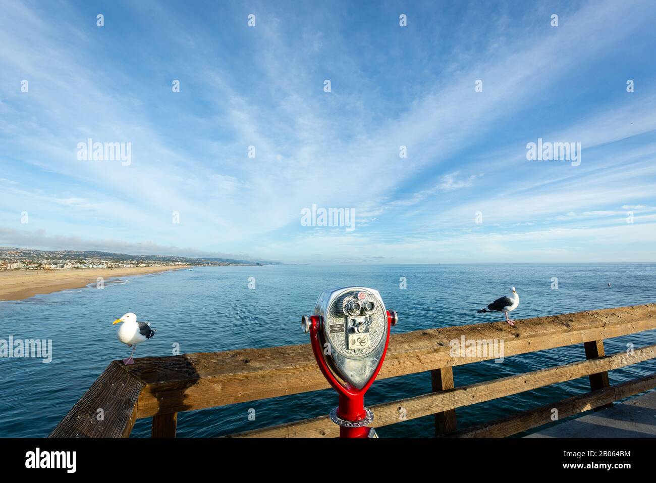 Ocean View of Sea Gulls and the Sea Beach in Southern California Stock ...