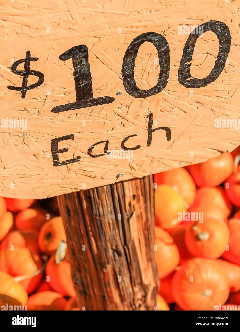One pumpkins hi-res stock photography and images - Alamy