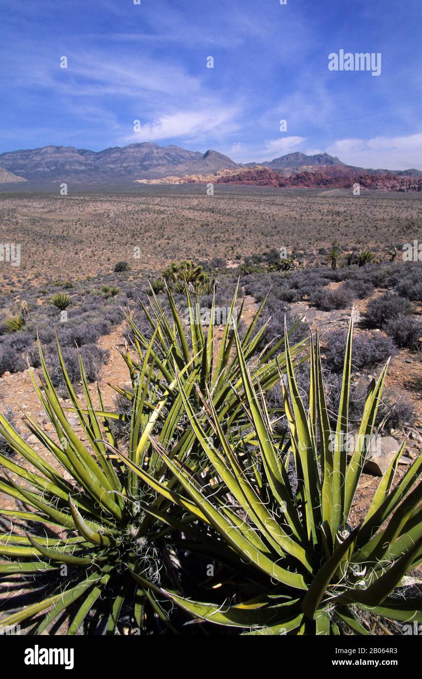 Desert red rock hi-res stock photography and images - Alamy