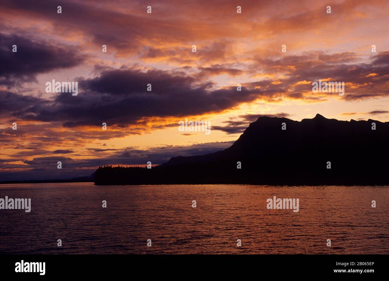 Alaska temperate rain forest hi-res stock photography and images - Alamy