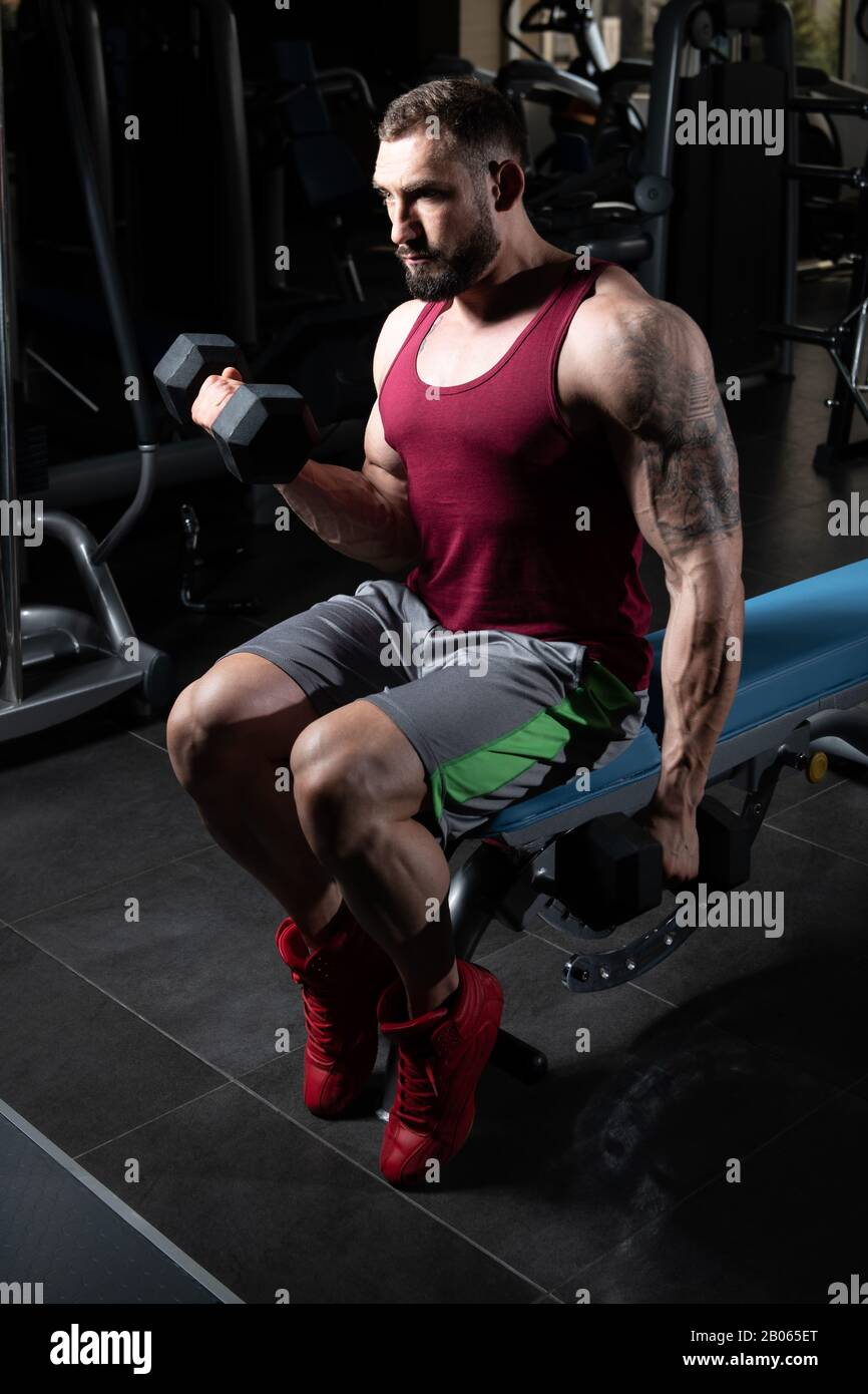 Man Working Out Biceps In A Gym - Dumbbell Concentration Curls Stock Photo - Alamy