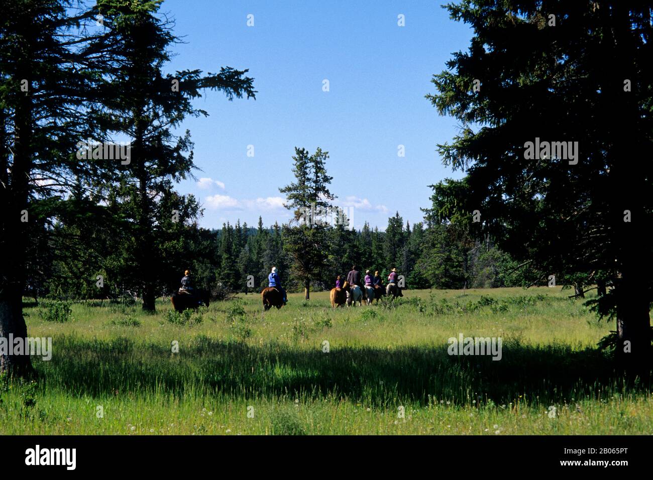 On ranch near alberta canada hi-res stock photography and images - Alamy
