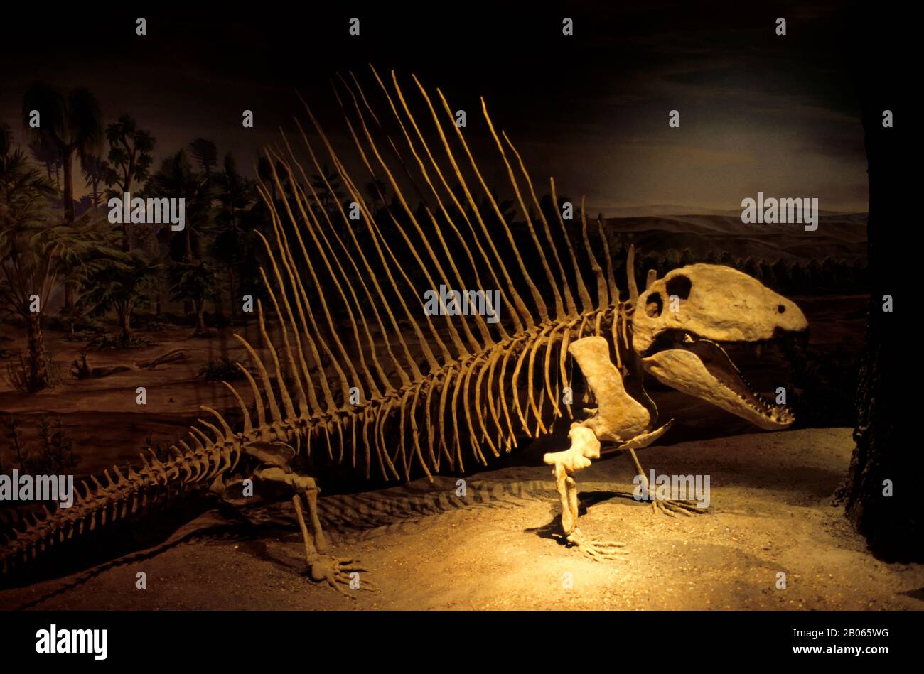 CANADA, ALBERTA, DRUMHELLER, ROYAL TYRRELL MUSEUM, INTERIOR, DINOSAUR ...