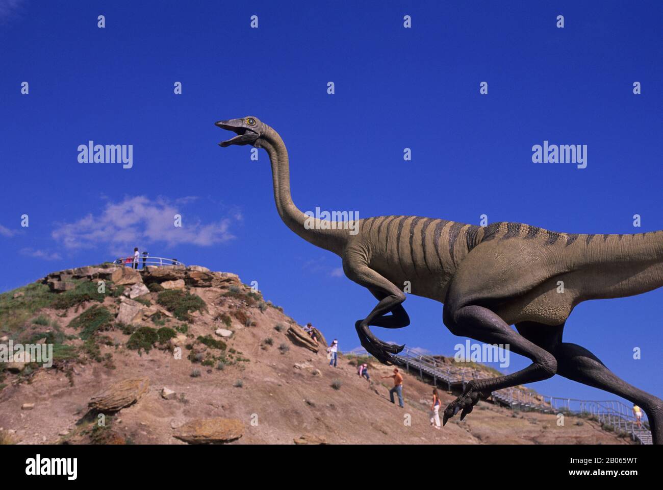 Struthiomimus hi-res stock photography and images - Alamy